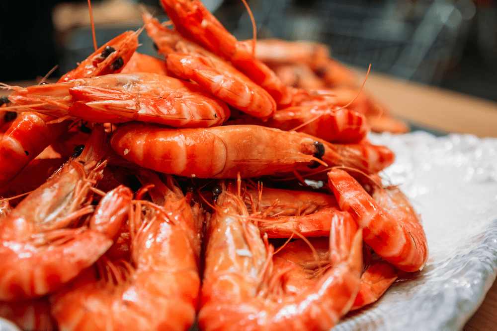 Fish Merchant | The Herdsman