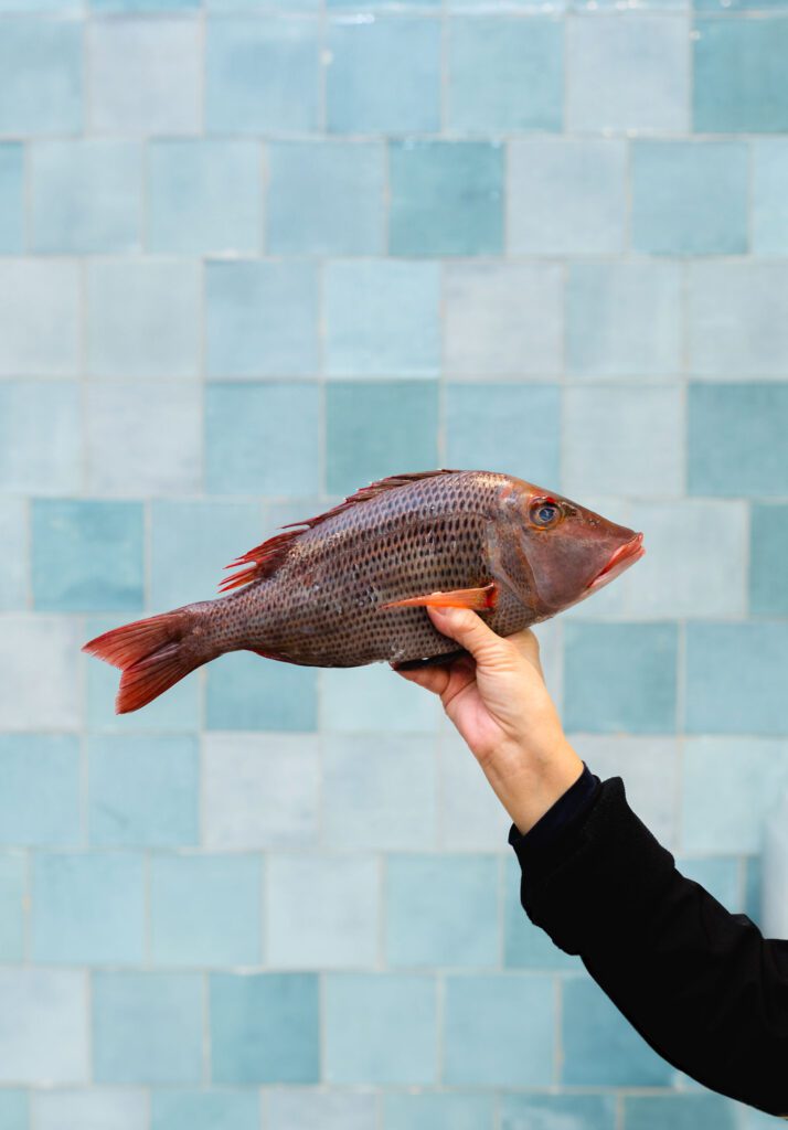 Whole Line Caught Fish | The Herdsman Market