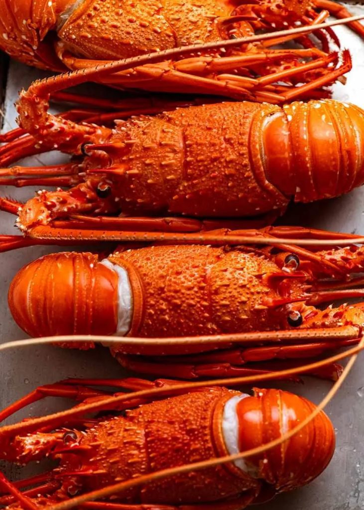 Rottnest Large Crayfish | The Herdsman Market